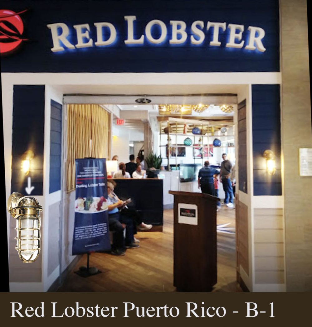 Bulkhead Light w/ Cage - Shiplights